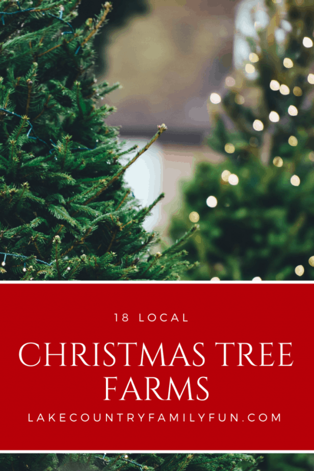South East Wisconsin Christmas Tree Farms Guide • Lake Country Family Fun